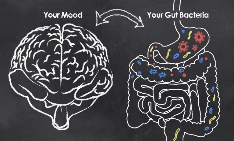 Gut, Brain, Skin: They Are All Connected - Yes Healthier